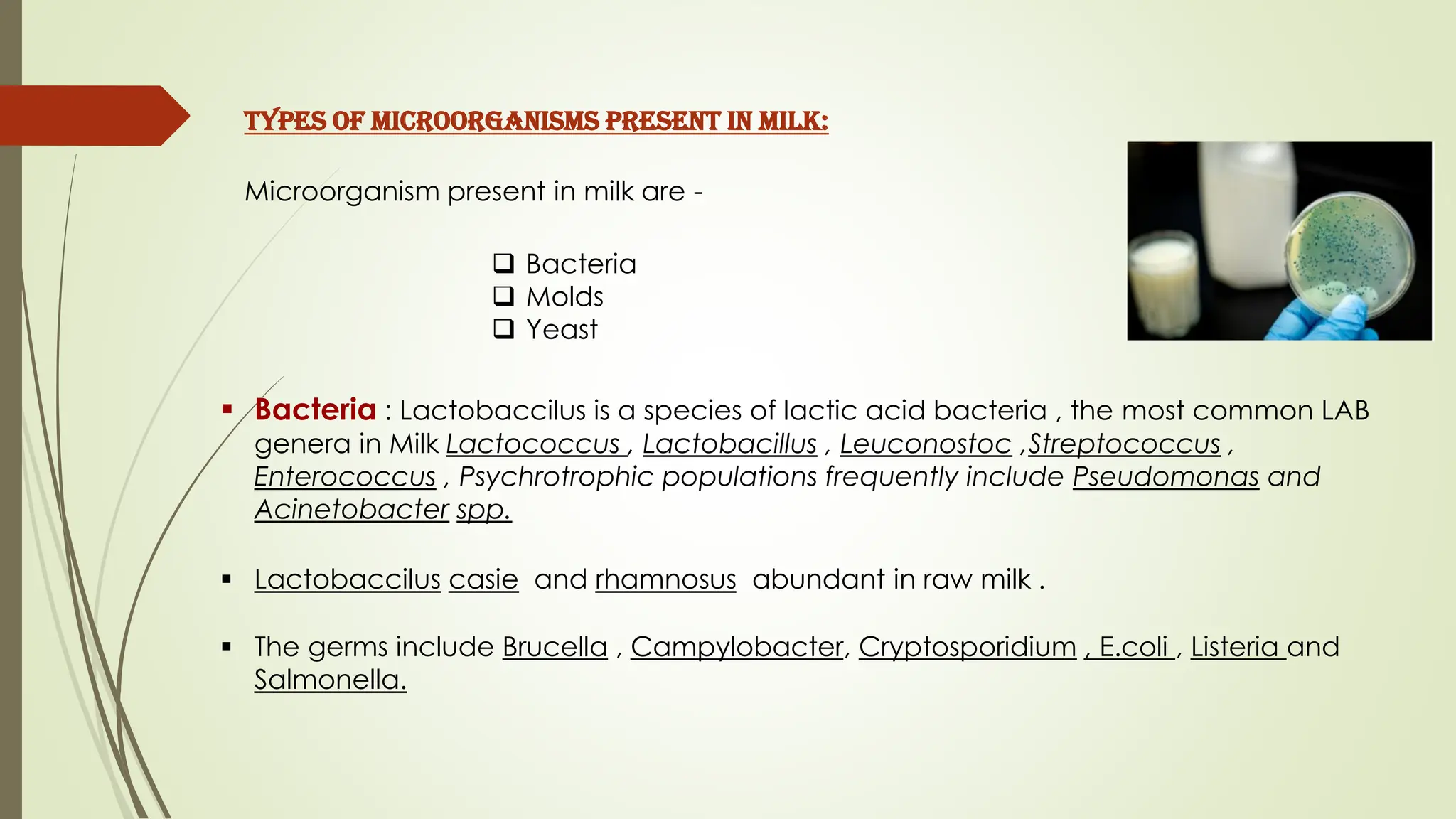 sources and types of microorganism in milk (2).pdf