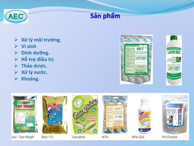 DMS proposal for AEC | PPTX