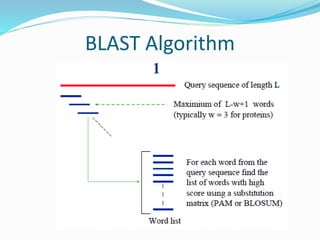 Blast Algorithm | PPTX