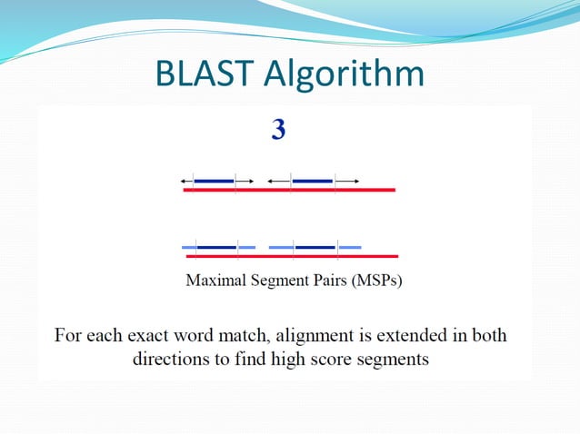 Blast Algorithm | PPTX