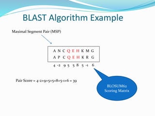 Blast Algorithm | PPTX