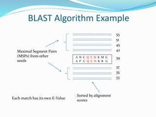 Blast Algorithm | PPTX