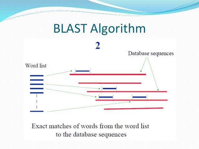 Blast Algorithm 4266