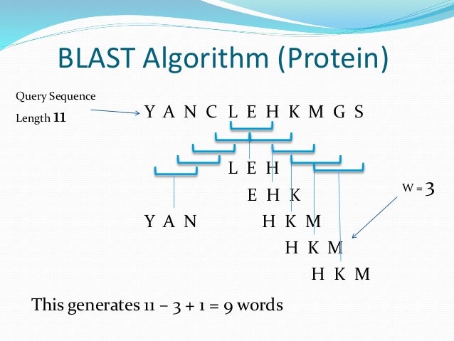Blast Algorithm