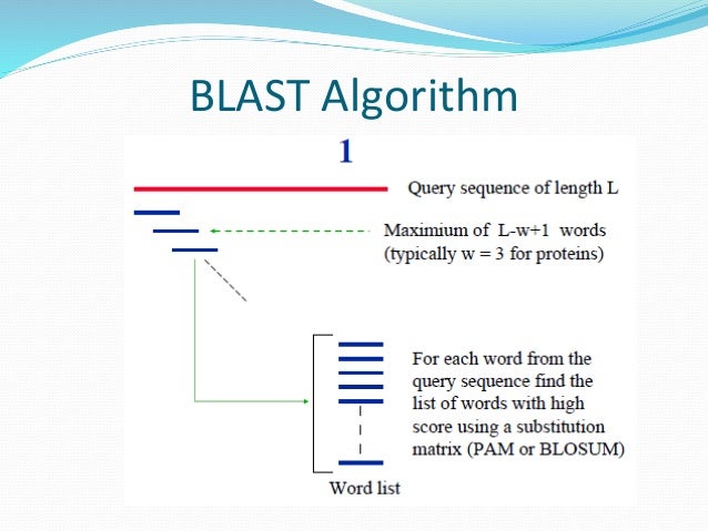 Presentation For Blast Algorithm Bio Informatice