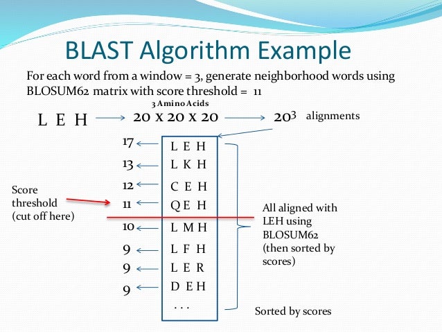 Presentation For Blast Algorithm Bio Informatice