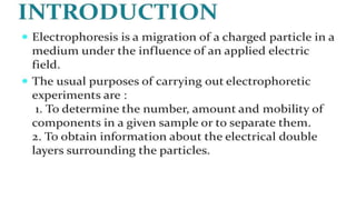 Presentation for BS.pptx