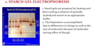 Presentation for BS.pptx
