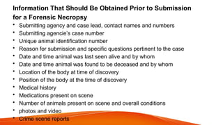 Presentation forensic evidences.pp8787tx | PPT