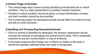 Presentation forensic evidences.pp8787tx | PPTX