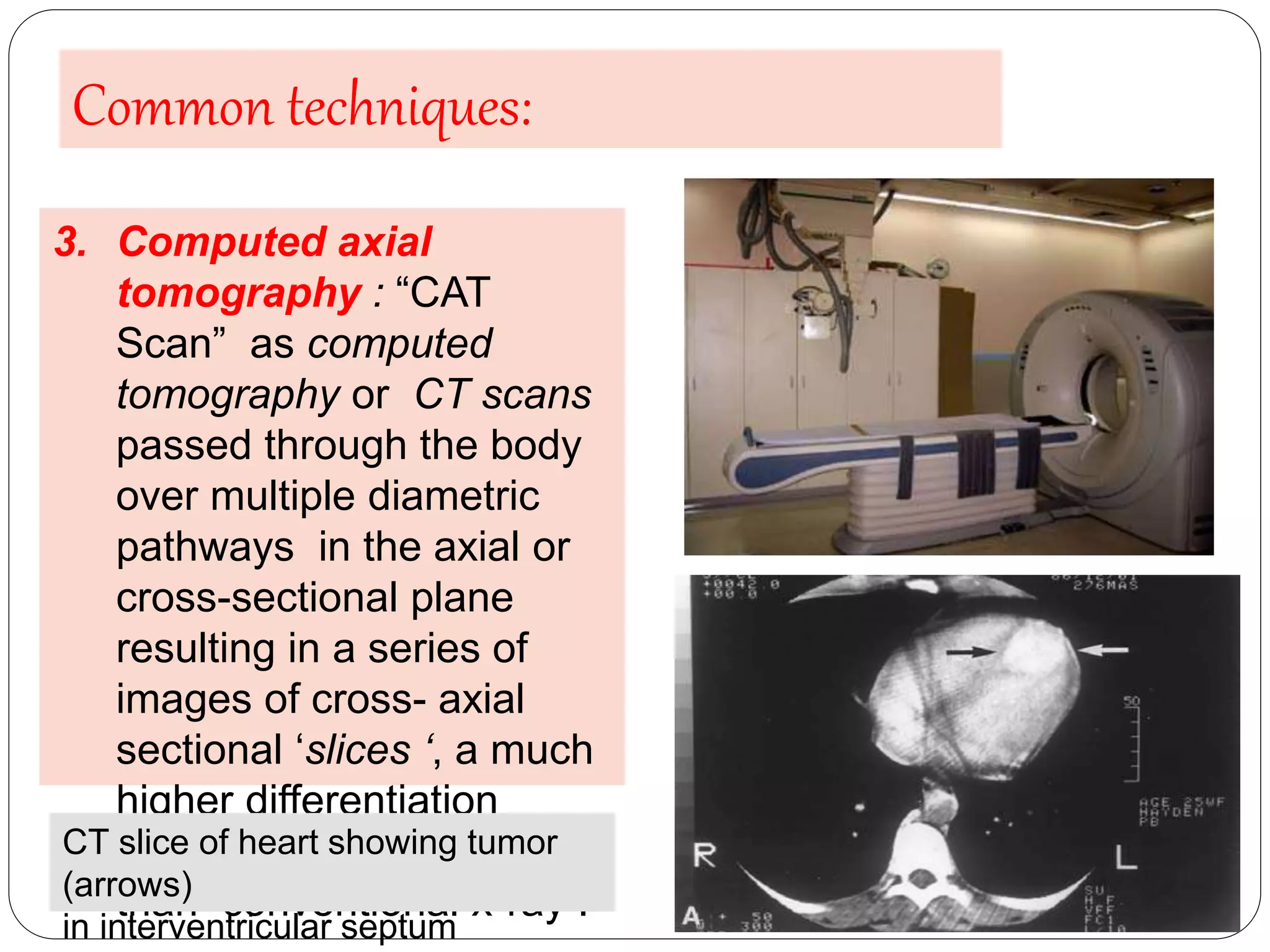 Presentation forensic radiology | PPTX
