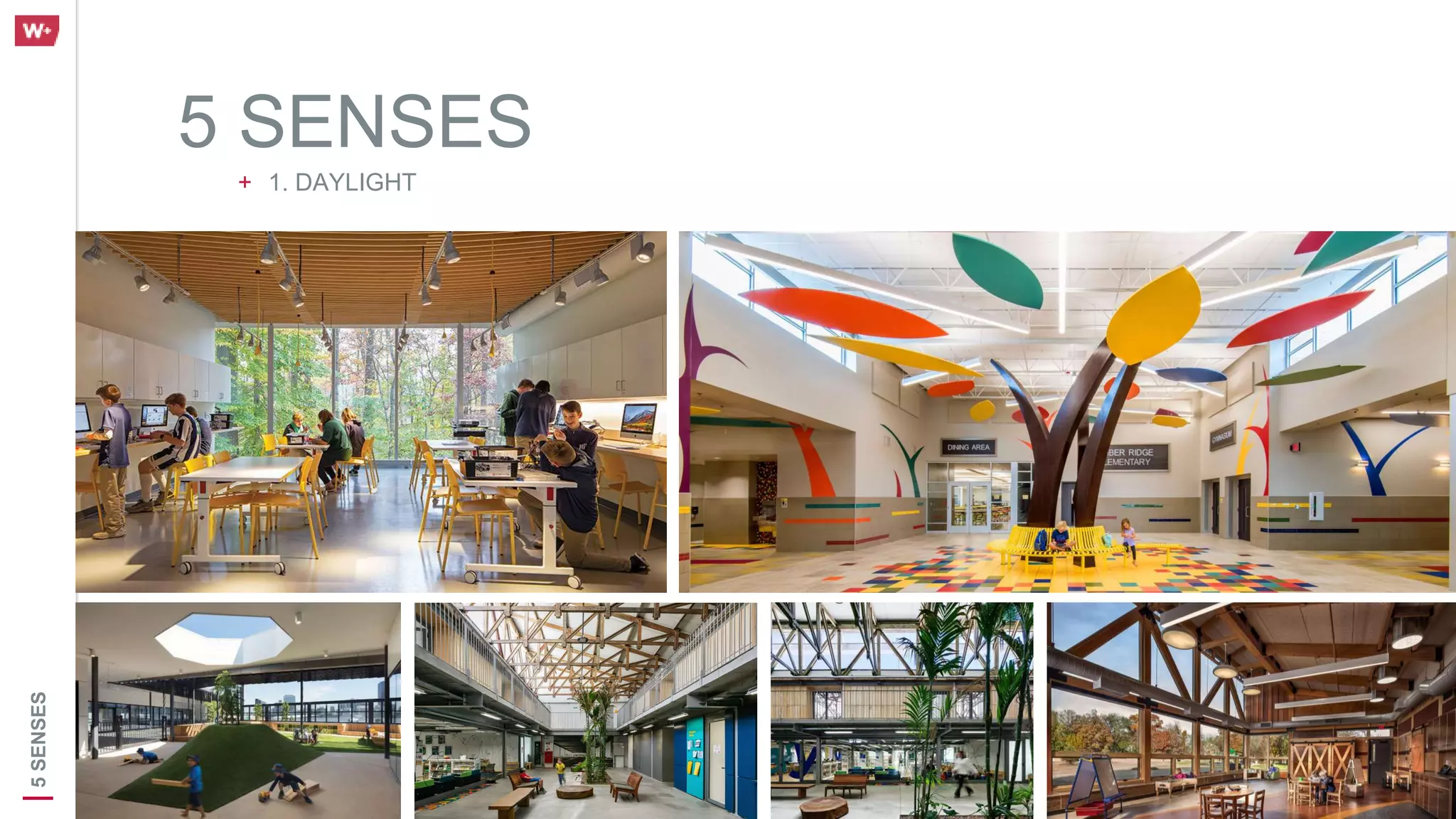 Learning Environments-3 Principles for your Learner to Thrive | PPT