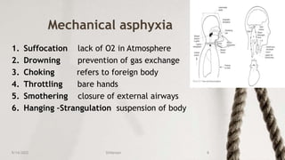 Presentation for Hangigng.pptx