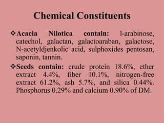 Acacia nilotica seeds | PPT