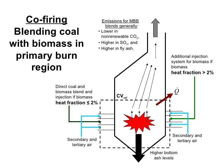 Presentation - Coal and Biomass Combustion
