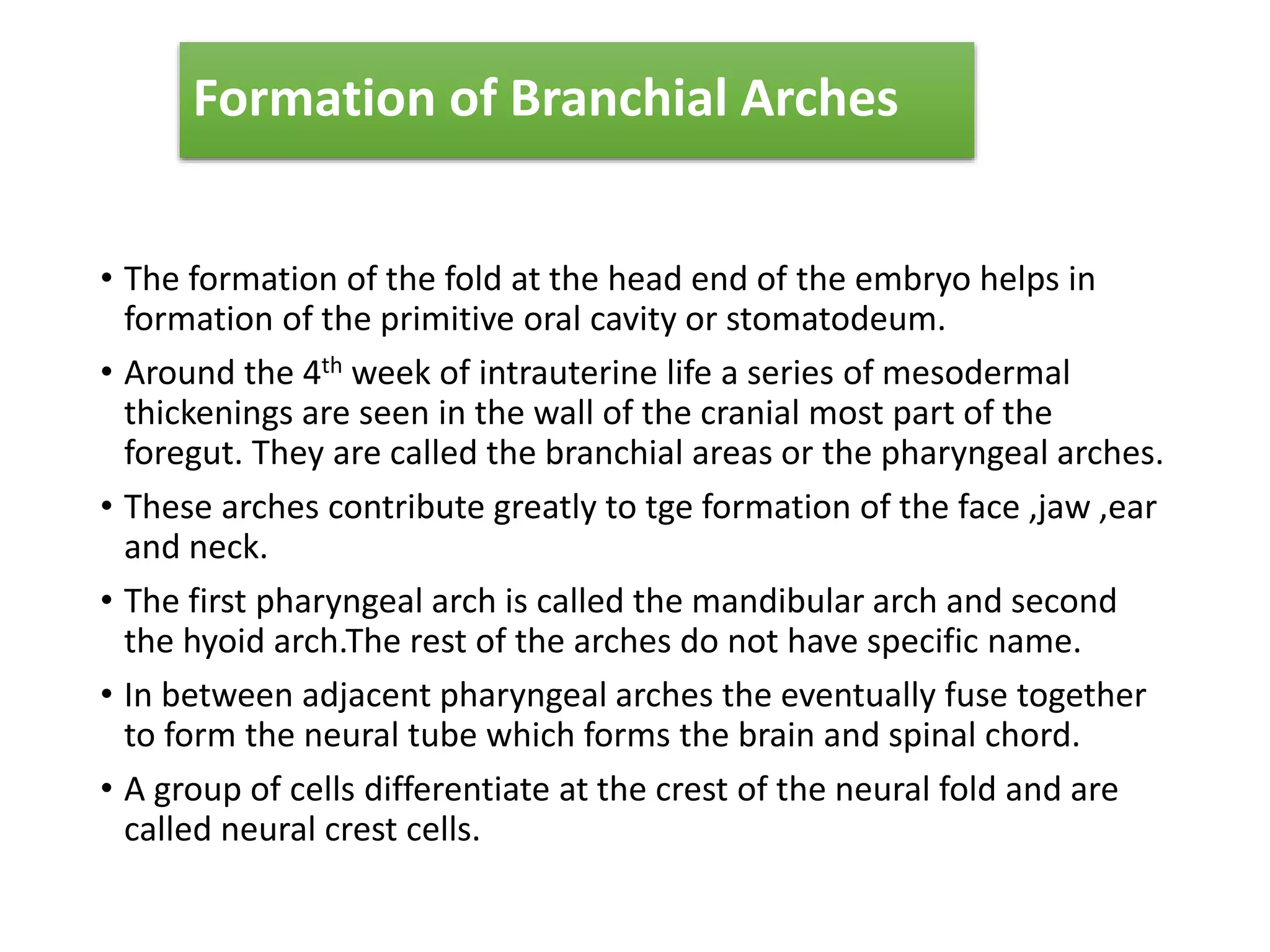 Growth and Development of Cranial and Facial structures.(Orthodontics ...