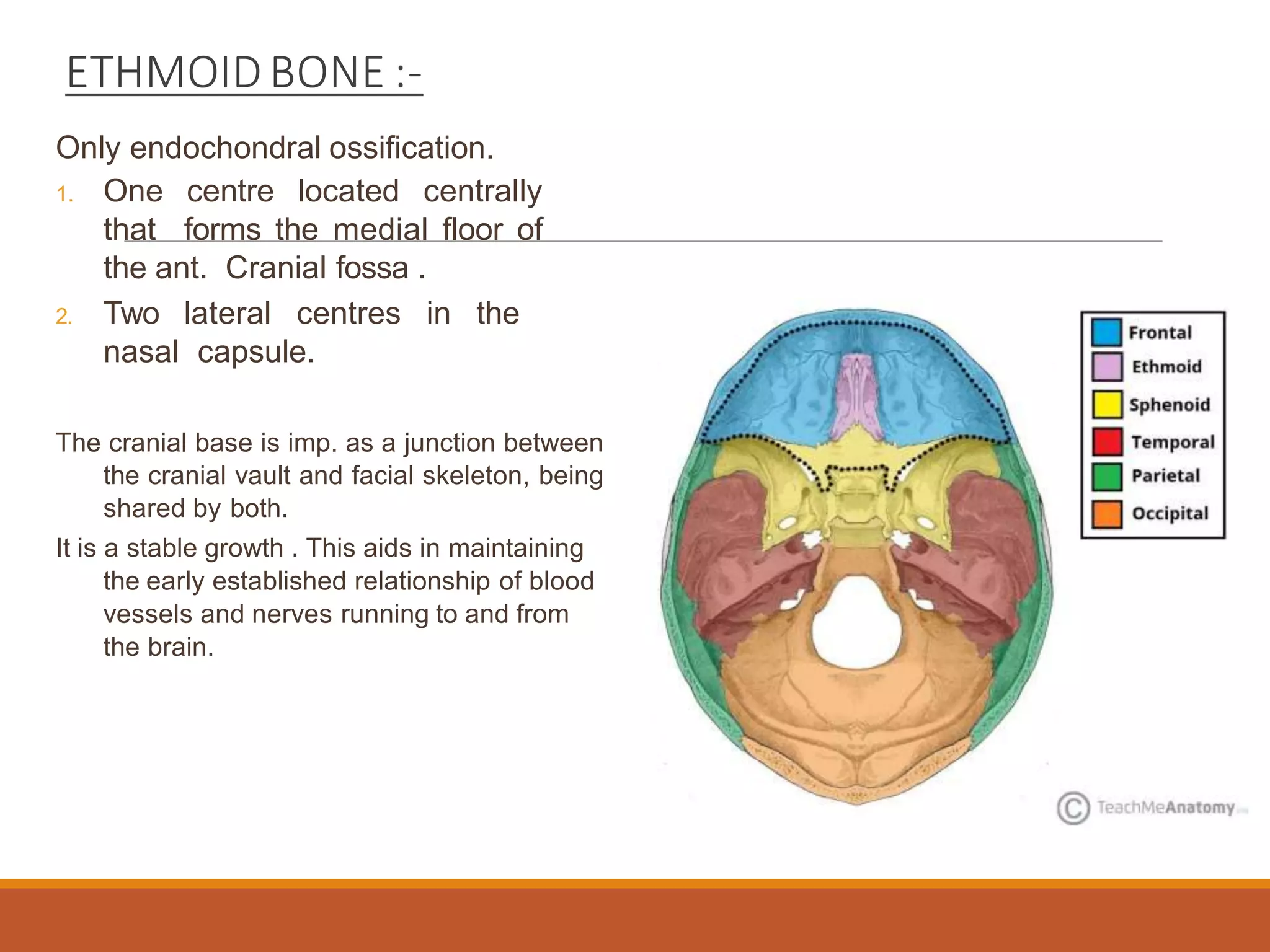 Growth and Development of Cranial and Facial structures.(Orthodontics ...