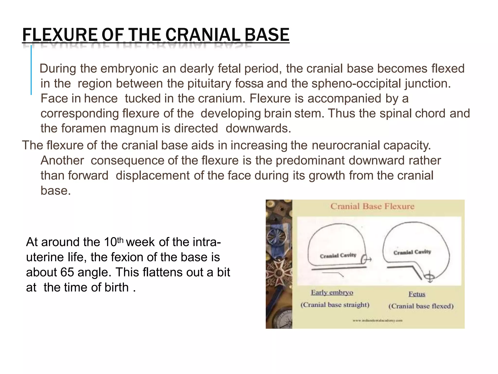 Growth and Development of Cranial and Facial structures.(Orthodontics ...
