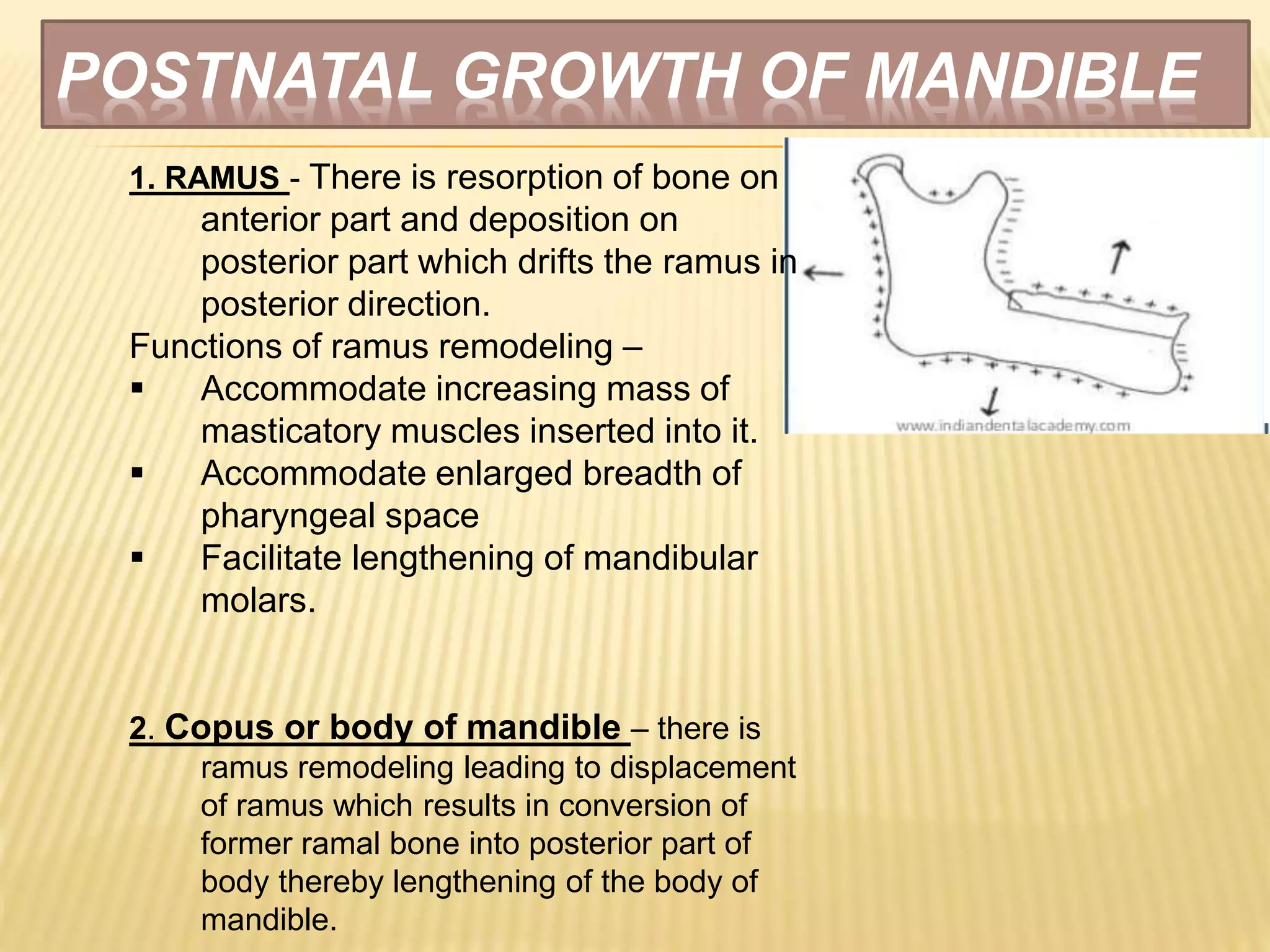 Growth and Development of Cranial and Facial structures.(Orthodontics ...