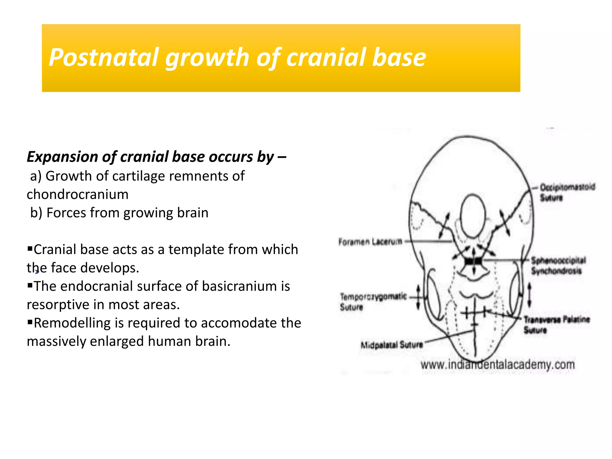 Growth and Development of Cranial and Facial structures.(Orthodontics ...