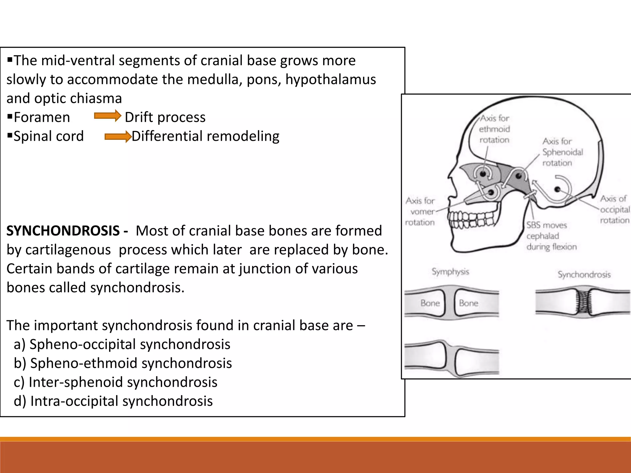 Growth and Development of Cranial and Facial structures.(Orthodontics ...