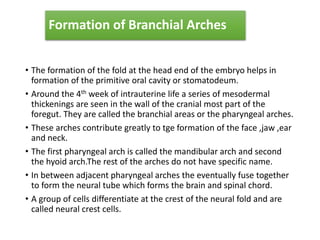Growth and Development of Cranial and Facial structures.(Orthodontics ...