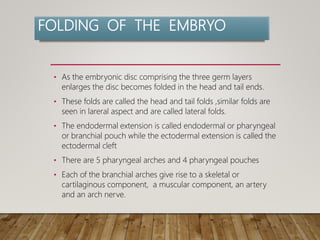 Growth and Development of Cranial and Facial structures.(Orthodontics ...