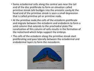Growth and Development of Cranial and Facial structures.(Orthodontics ...