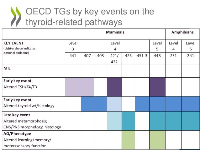 Overview of OECD Test Guidelines for Thyroid Effects Overview of OECD Test Guidelines for Thyroid Effects