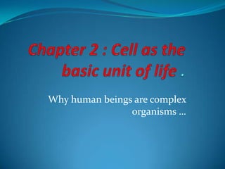 Presentation for science | PPTX