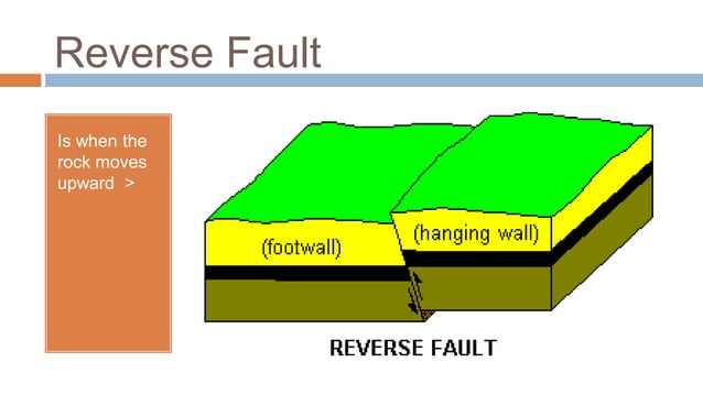 Presentation for science faults | PPTX