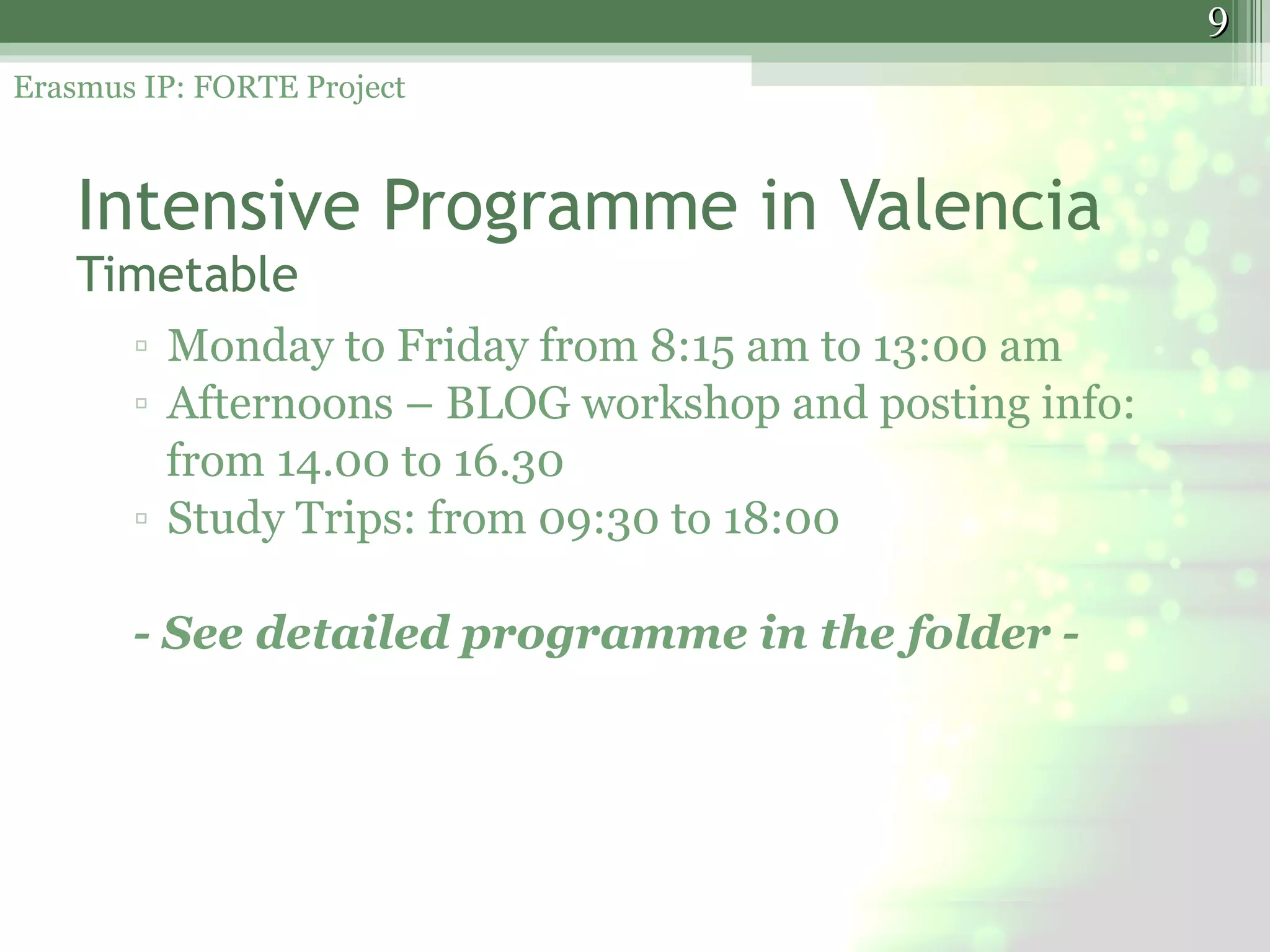 Presentation Forte Project | PPT | Travel