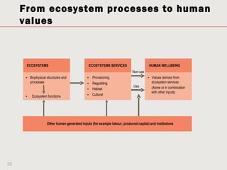 Including NRM and environmental impacts within ACIAR impact assessments - Methodological Issues ...
