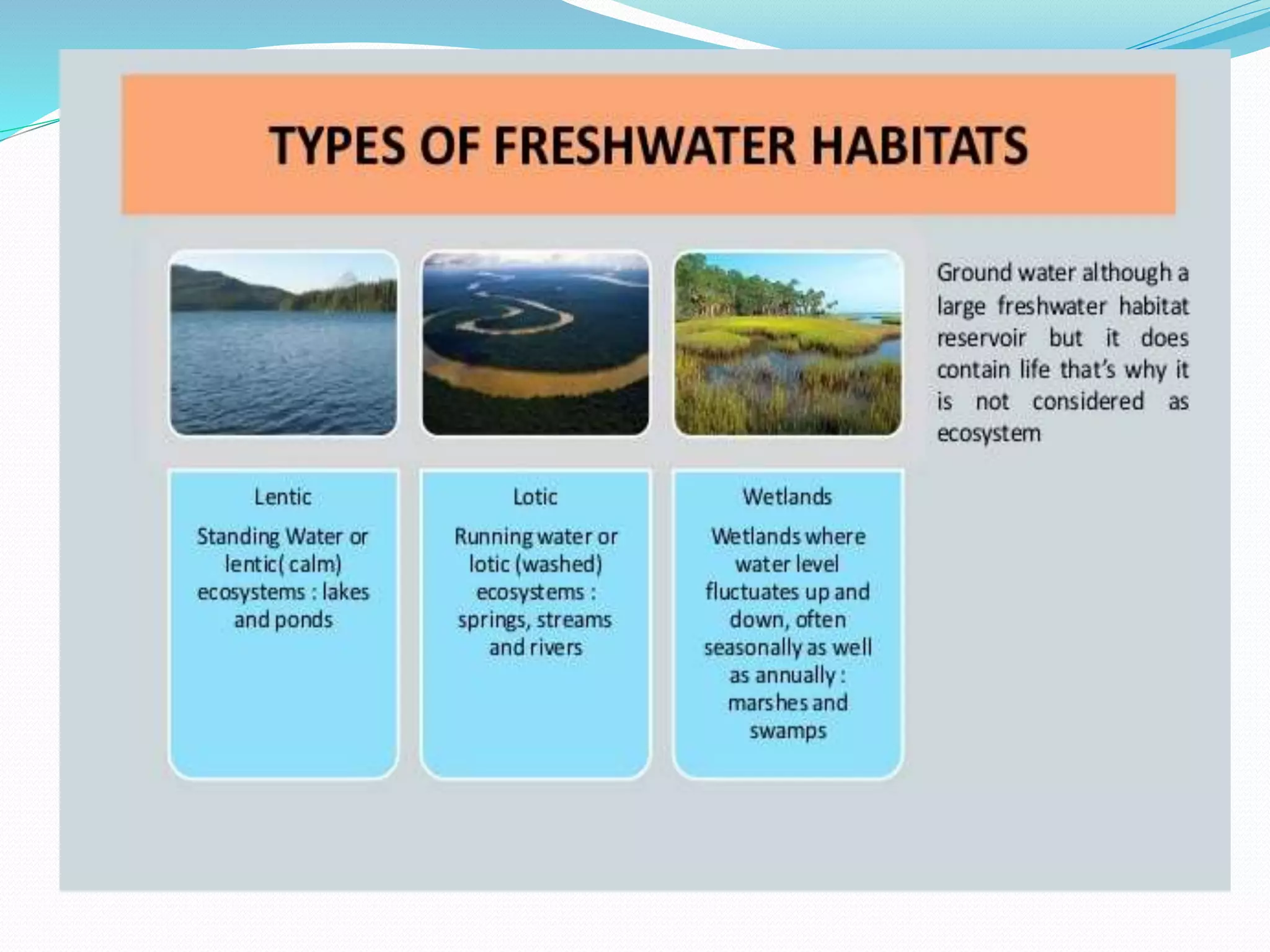 Freshwater resources | PPTX