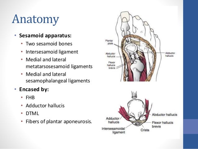 Presentation frontal plane correction in hav surgery