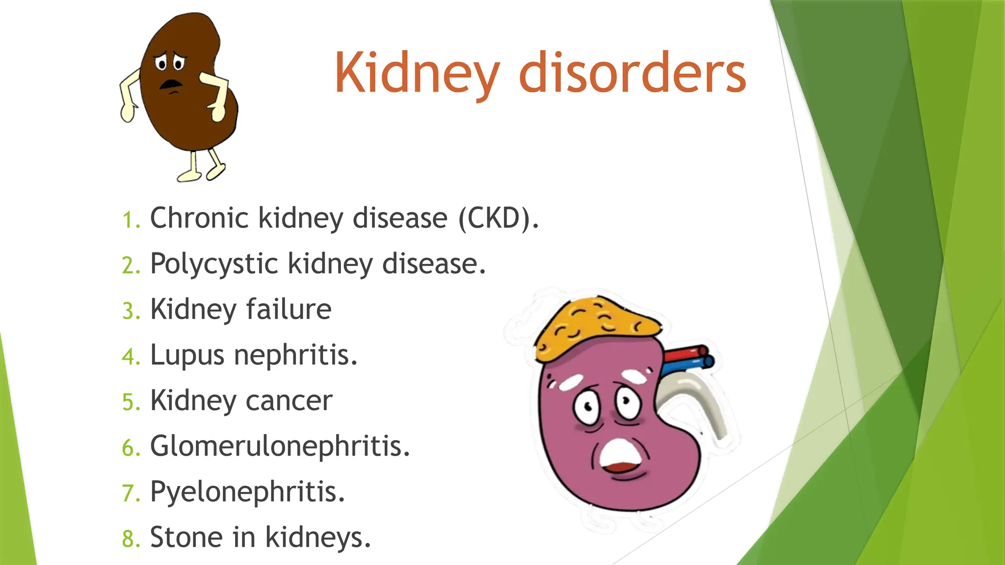 Anatomy and physiology of human kidney by BNCP | PPTX