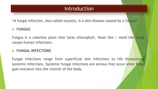 Presentation on Fungal Infections in human | PDF