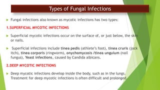 Presentation on Fungal Infections in human | PDF