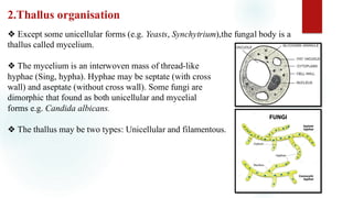 Presentation fungi pdf general characteristics of fungi | PDF