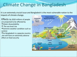 Climate,people,race of BD | PPT