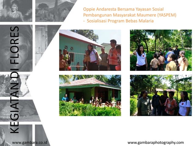 Presentation Gambara | PPSX