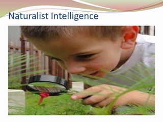 Presentation gardner's multiple intelligences | PPTX