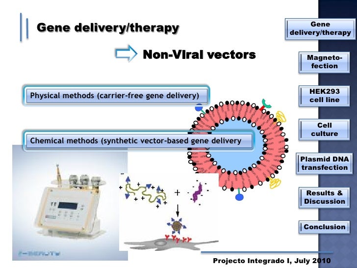 Presentation Gene Delivery