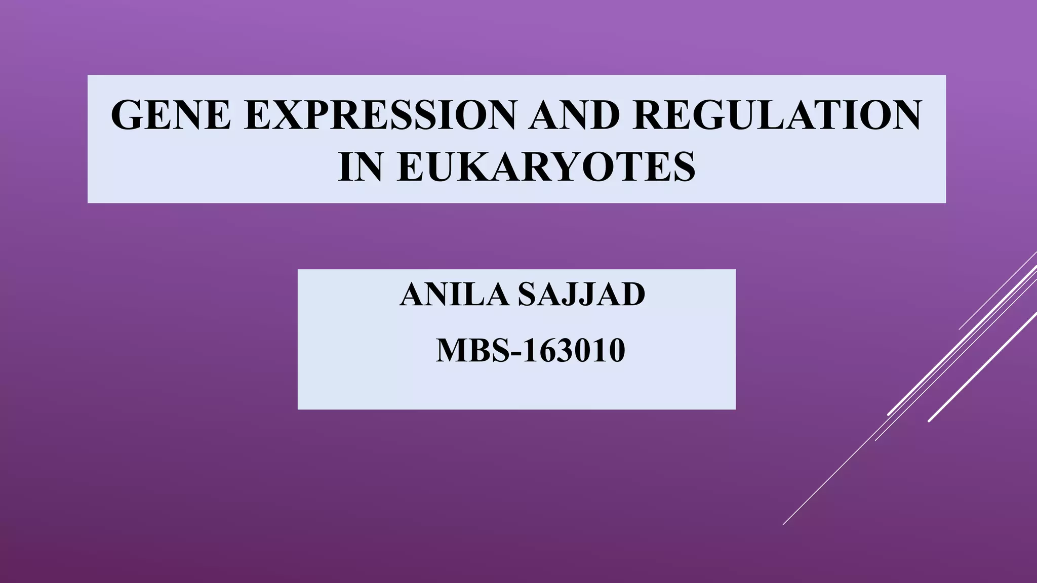 presentation-gene-expression-and-regulation-in-eukaryotes-pptx-free