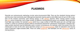 Gene Cloning Vectors - Plasmids, Bacteriophages and Phagemids. | PPTX
