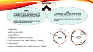 Gene Cloning Vectors - Plasmids, Bacteriophages and Phagemids. | PPTX
