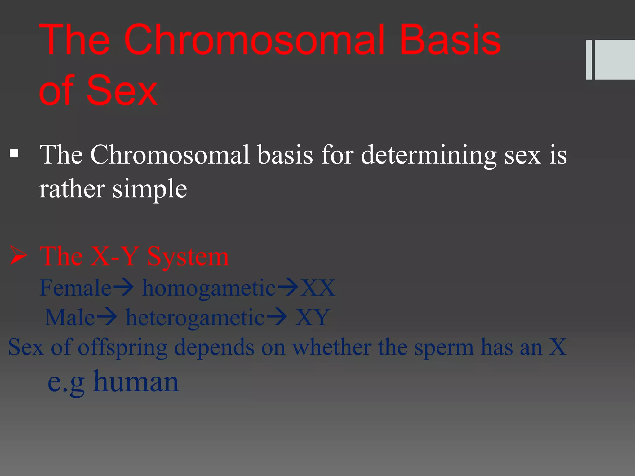 chromosomal basis of inheritance | PPTX | Genetics | Science