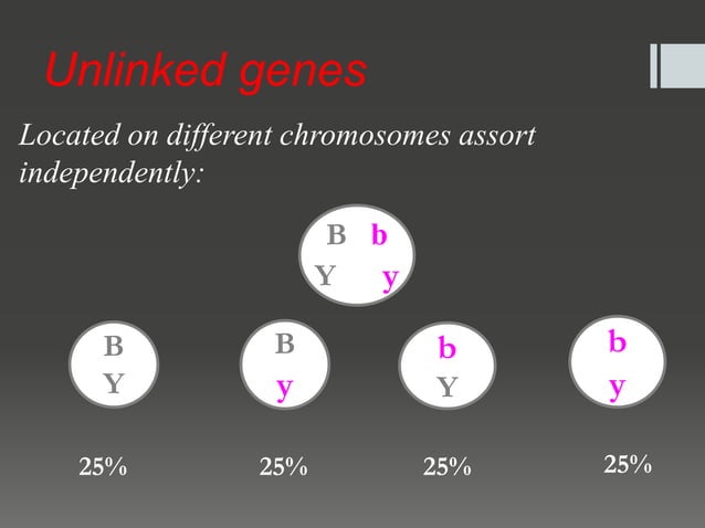 chromosomal basis of inheritance | PPT