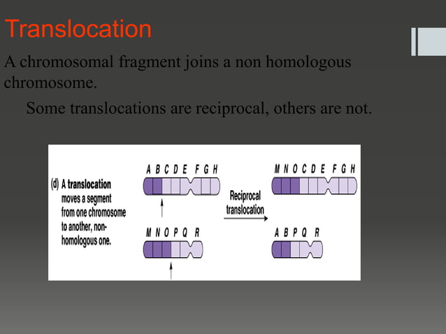 chromosomal basis of inheritance | PPT
