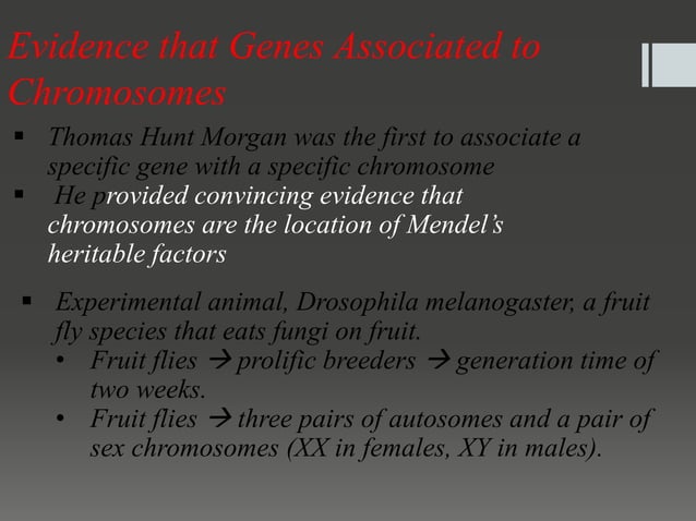 chromosomal basis of inheritance | PPT